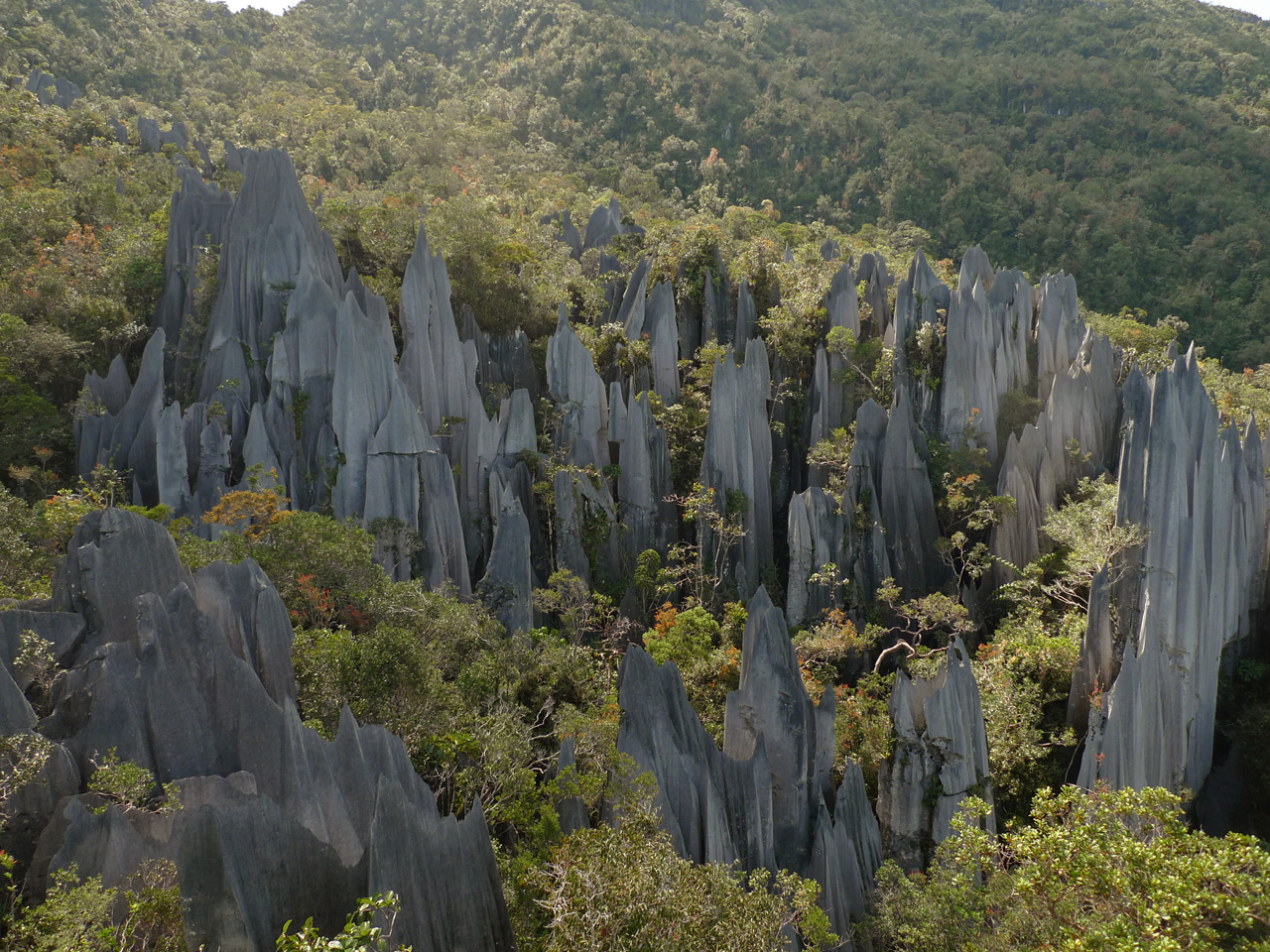 Borneo